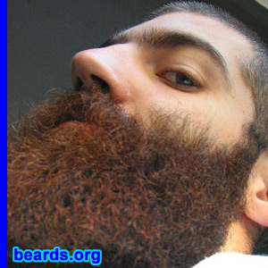 Dan: a beard success story | All About BEARDS