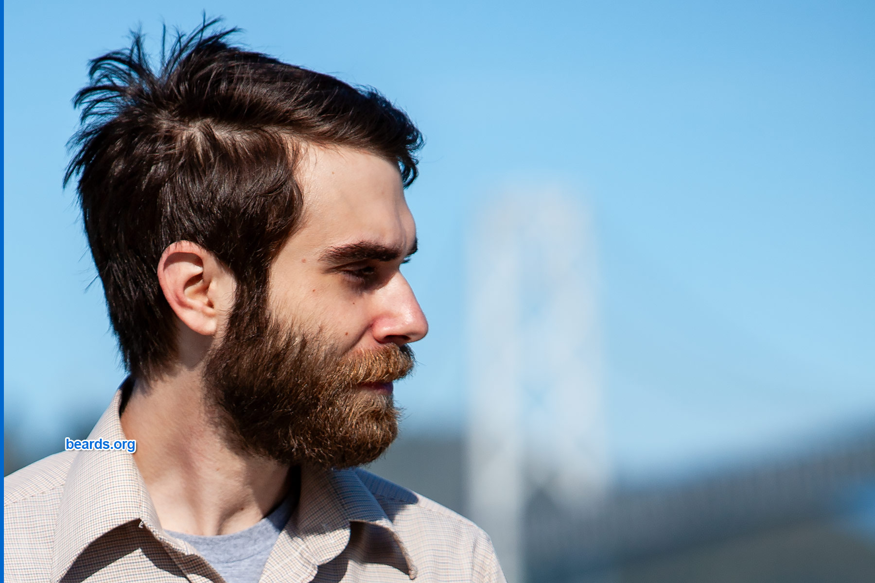 Brian Wilson Beard 2024