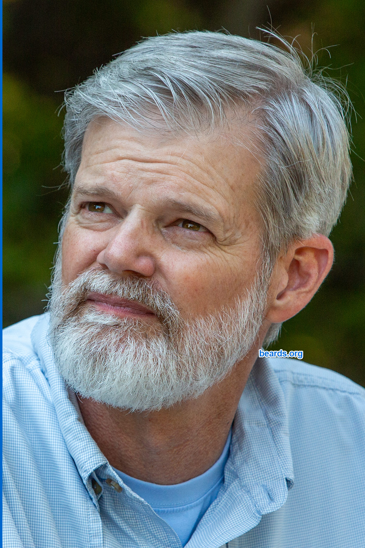 Blog | All About BEARDS | beards.org