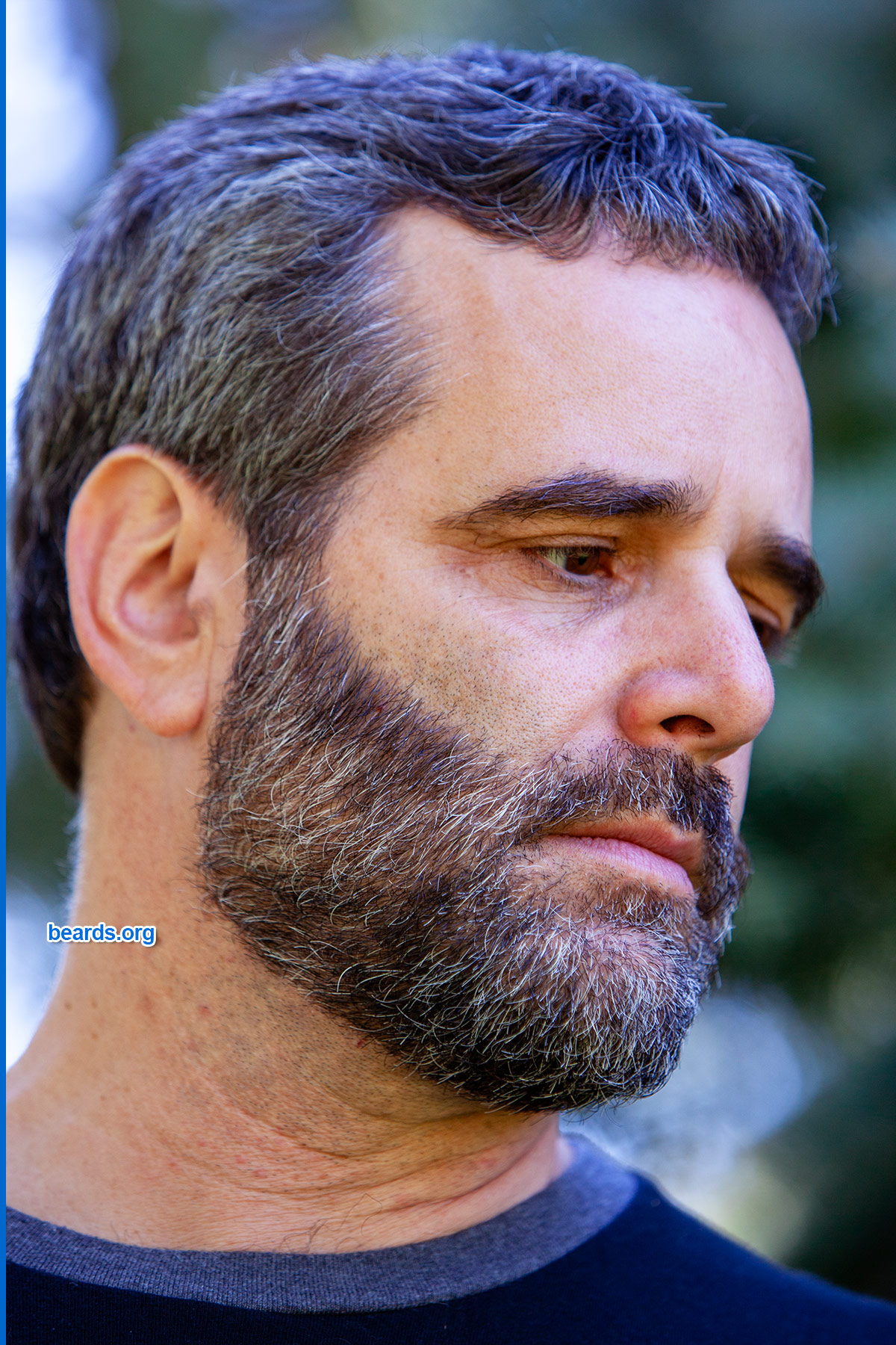 Blog | All About BEARDS | beards.org