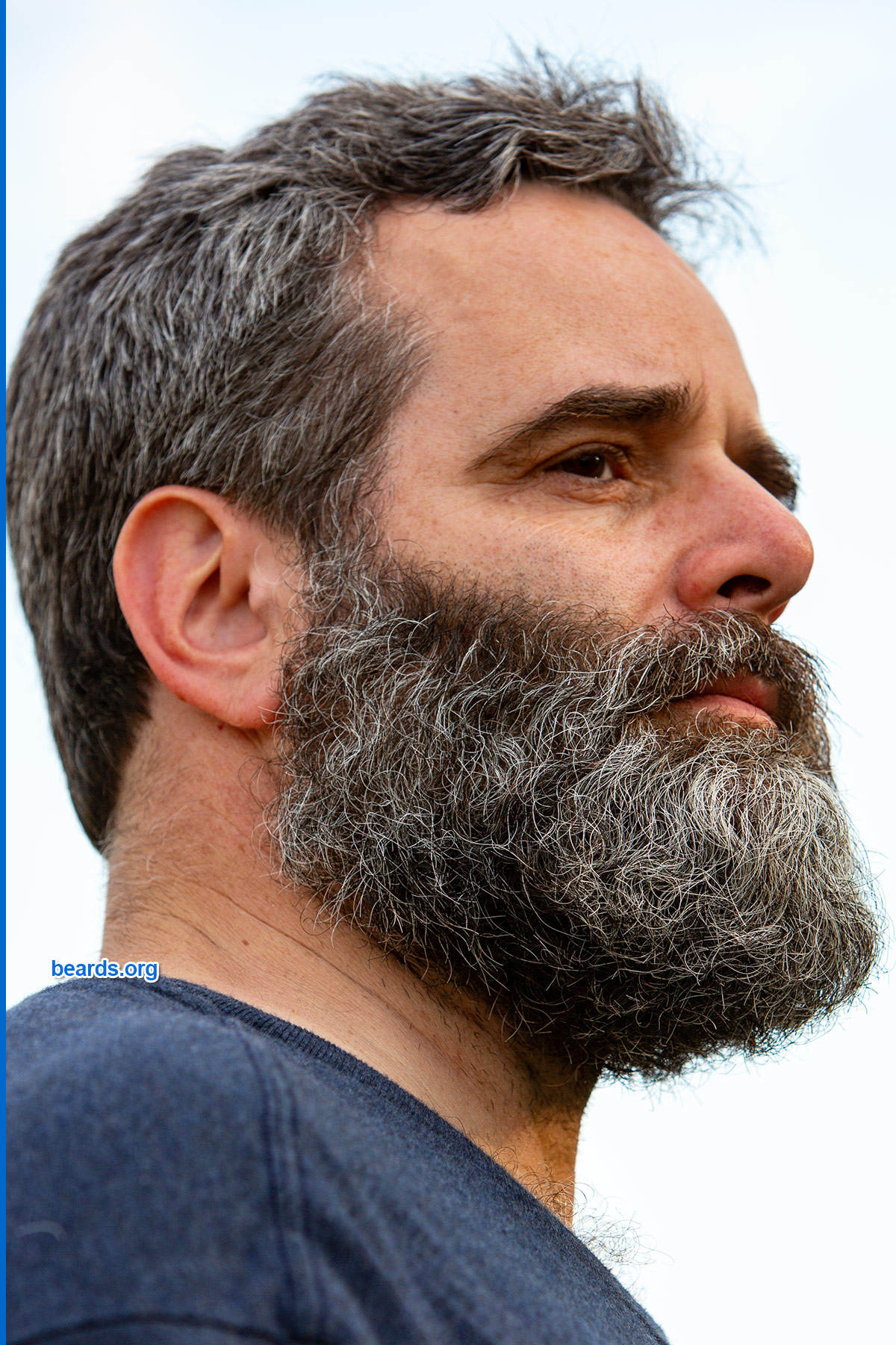 Blog | All About BEARDS | beards.org