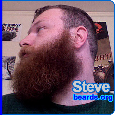 Steve’s superior beard: an update | All About BEARDS